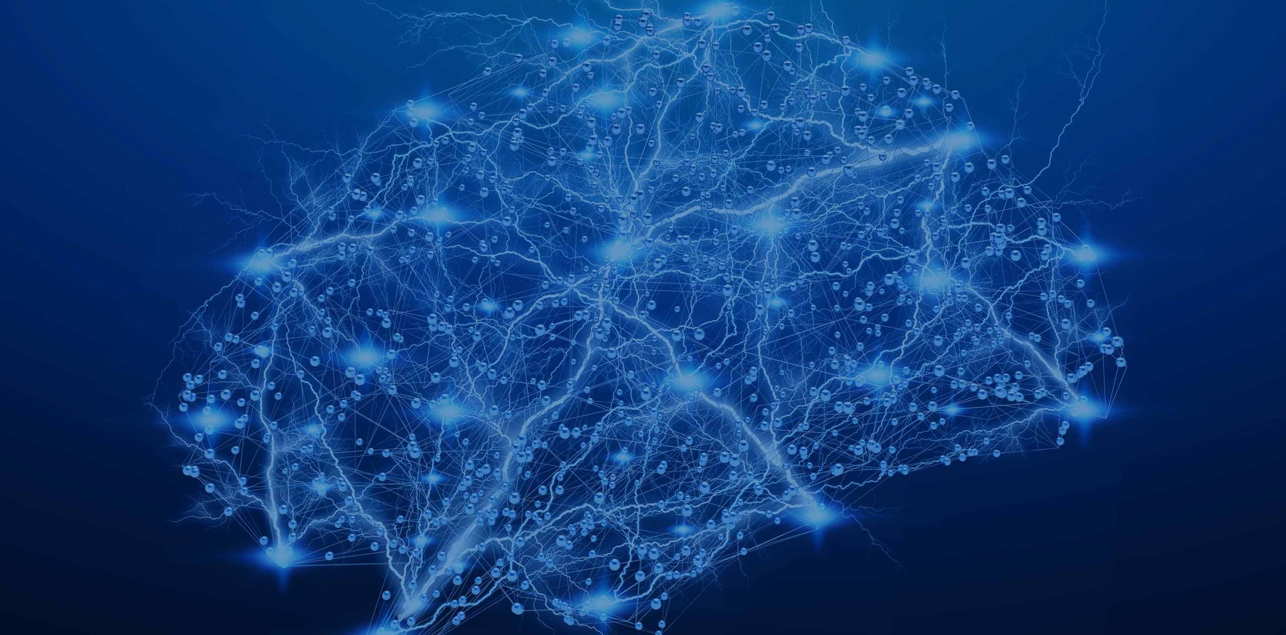 Carolyn Coyne, Ph.D.: Exploring How Viruses Evade the Placental Barrier ...